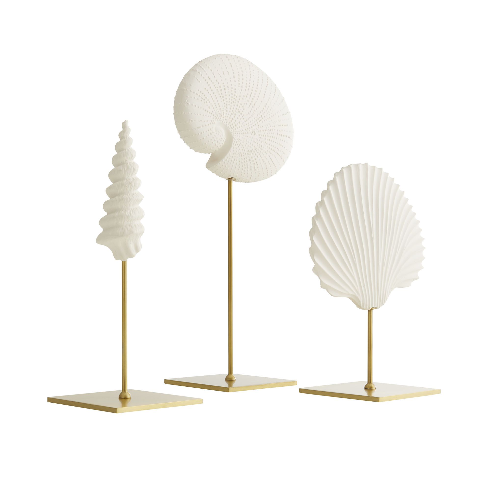 DC9000 - Shell Sculptures, Set of 3 - White