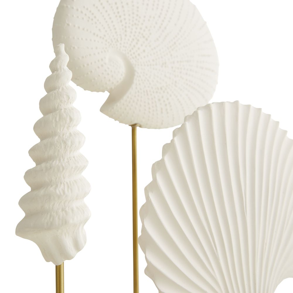 DC9000 - Shell Sculptures, Set of 3 - White