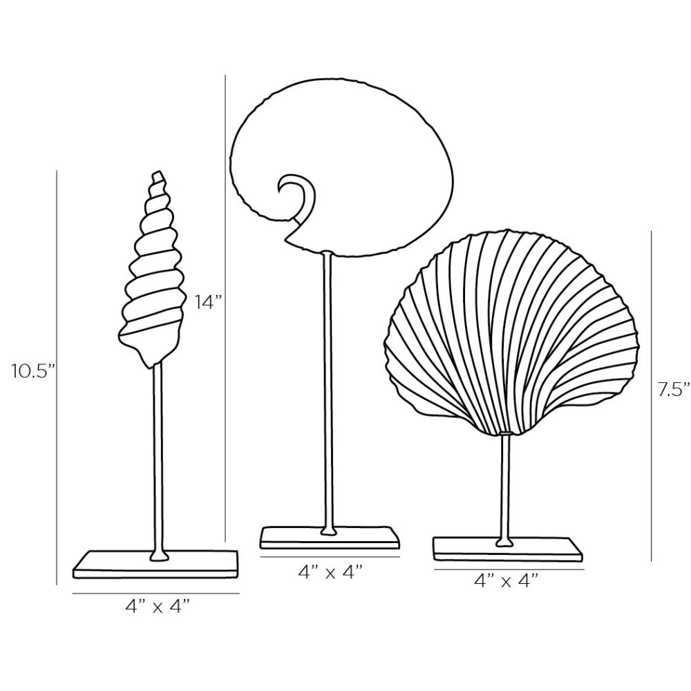 DC9000 - Shell Sculptures, Set of 3 - White